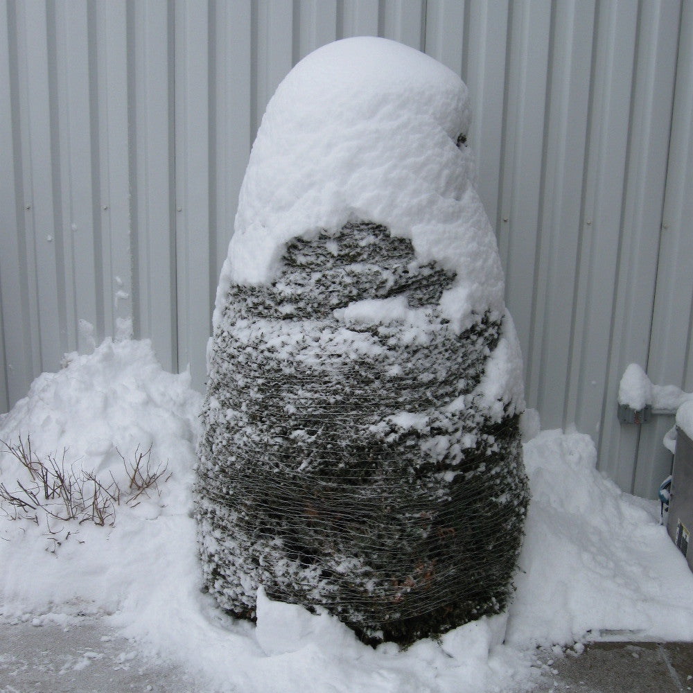 19" x 250' Shrub Wrap – DenetDirect